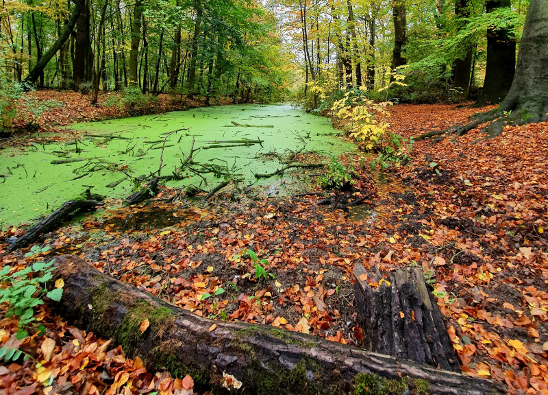Spazieren in Spandau | Visit Spandau