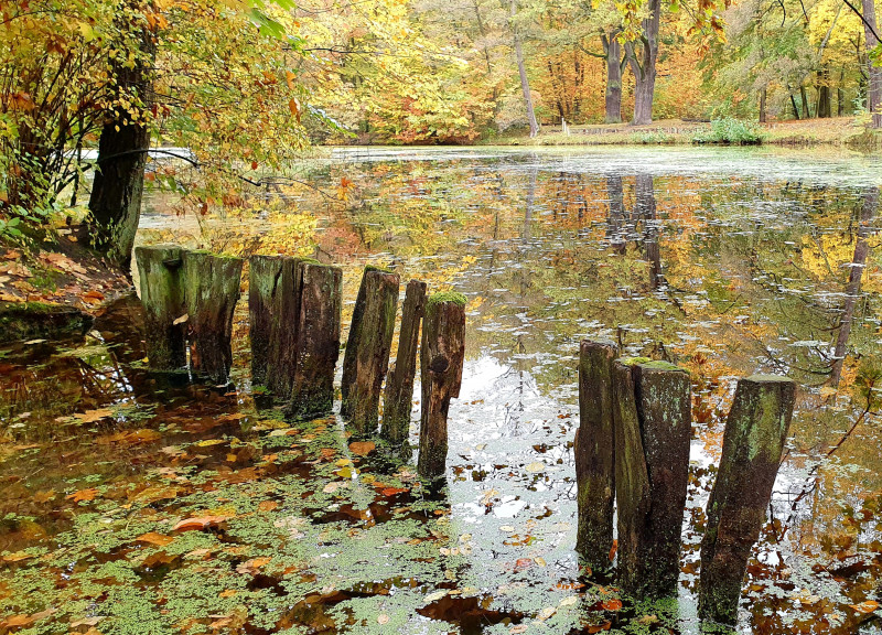 Spazieren in Spandau | Visit Spandau